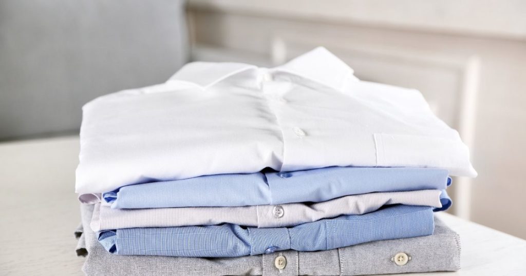 What is a Steam Press? How to Use and Top Picks for 2022